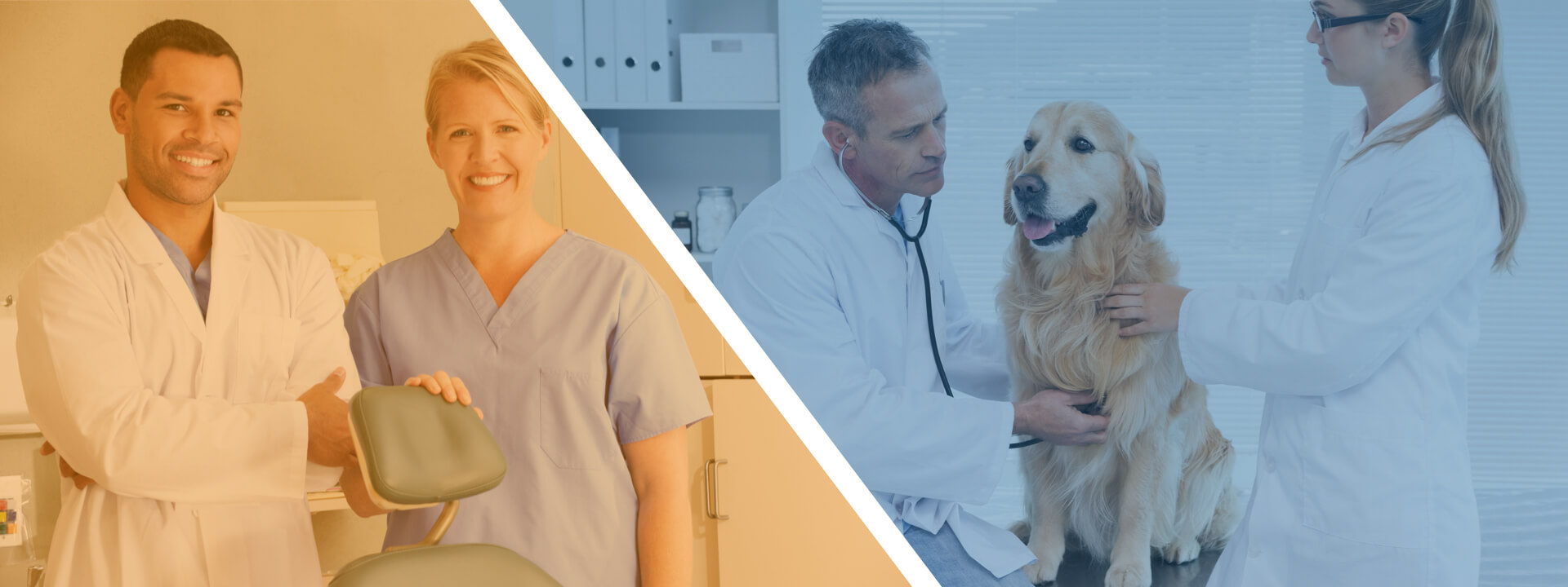 The LaMaster Law Firm, PLLC - Legal Services for Dentists - Township MI